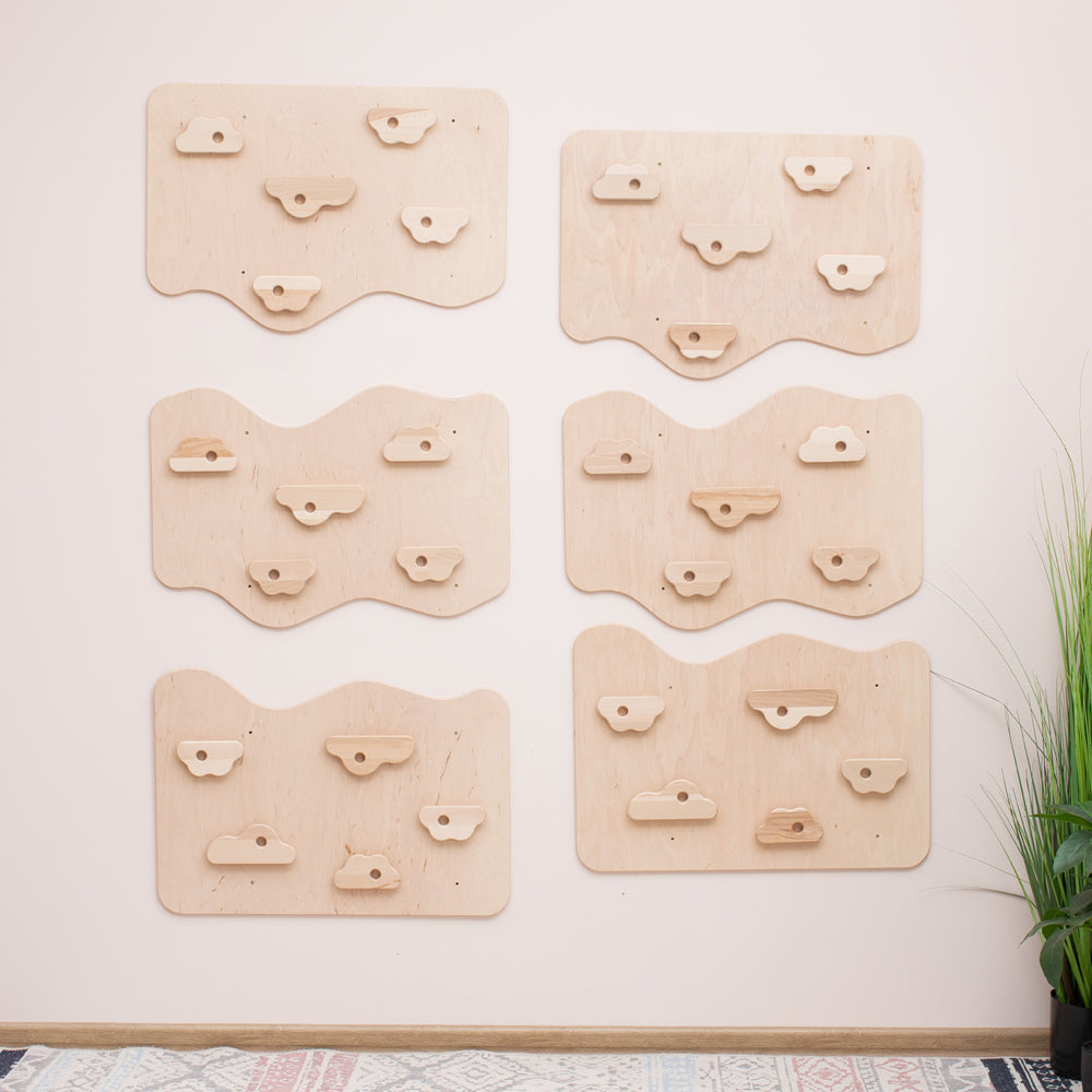Home Climbing Wall — Maison Nova